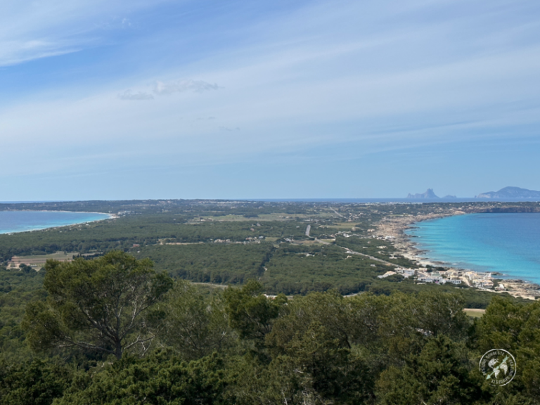 Qué ver en Formentera en un día y cómo llegar desde Ibiza