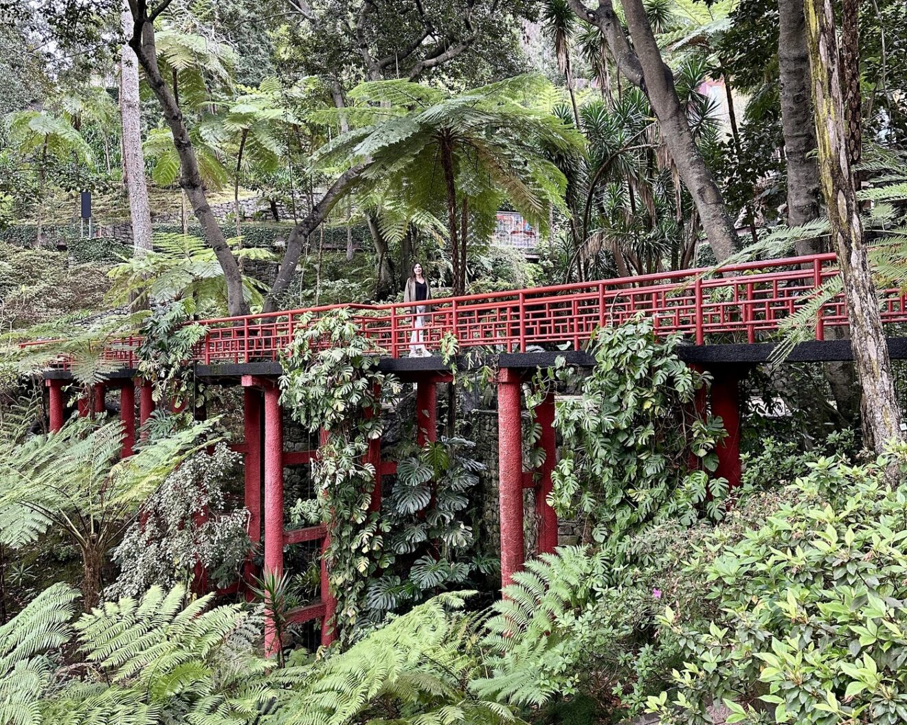 Qué ver en Madeira en 5 días: ruta en coche con itinerario y mapa