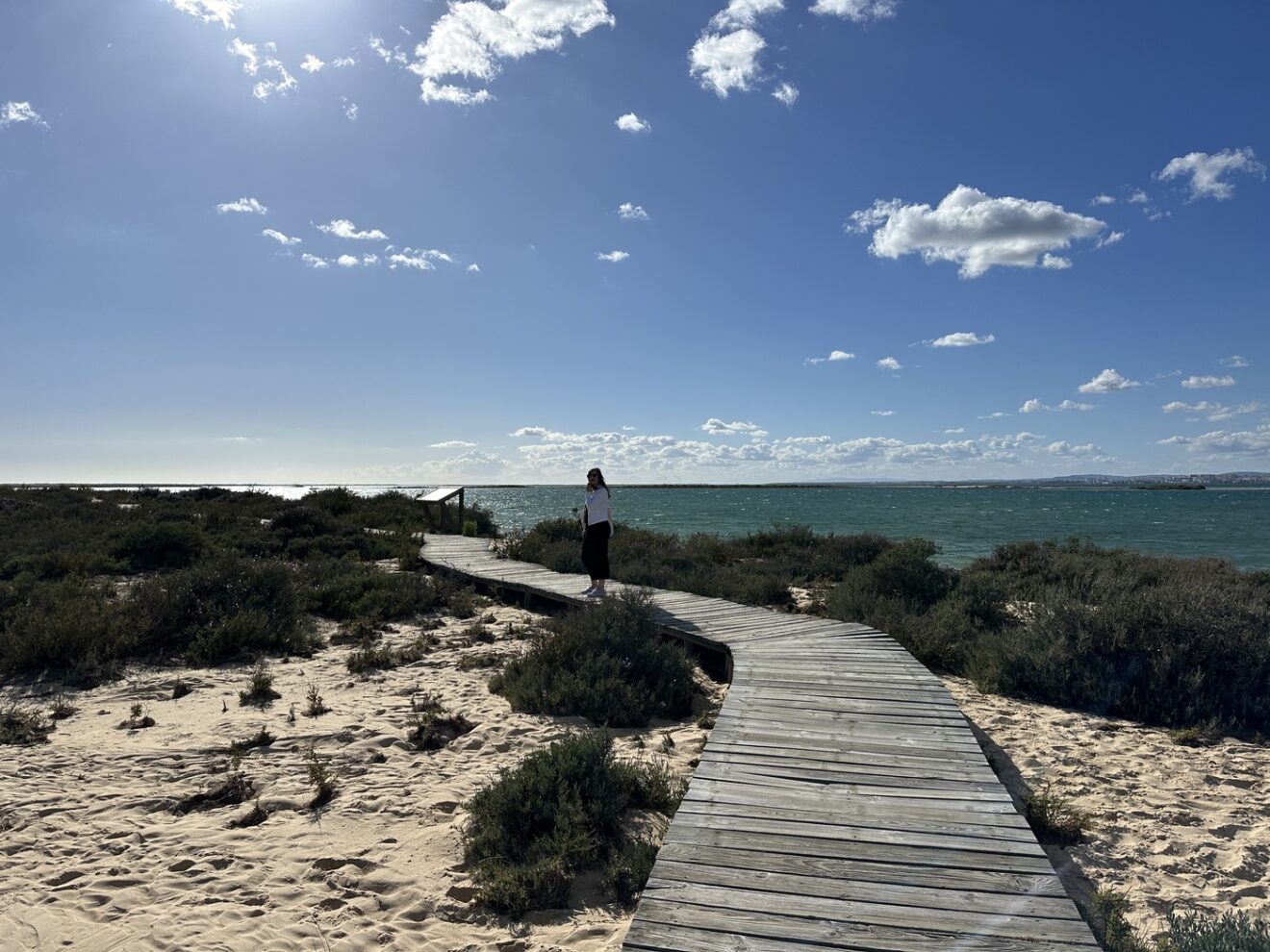 Isla Deserta o Barreta: cómo ir desde Faro (Portugal) - Destino Suroeste