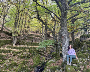 Qué ver en el Valle del Ambroz: pueblos, rutas y más (con mapa ...
