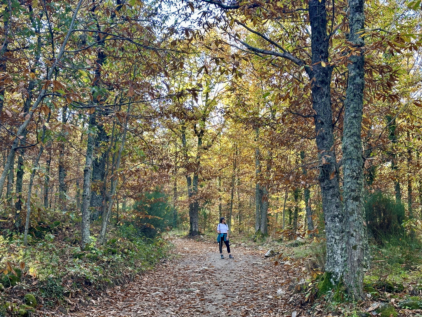 Rutas en el Valle del Ambroz ideales para el otoño - Destino Suroeste